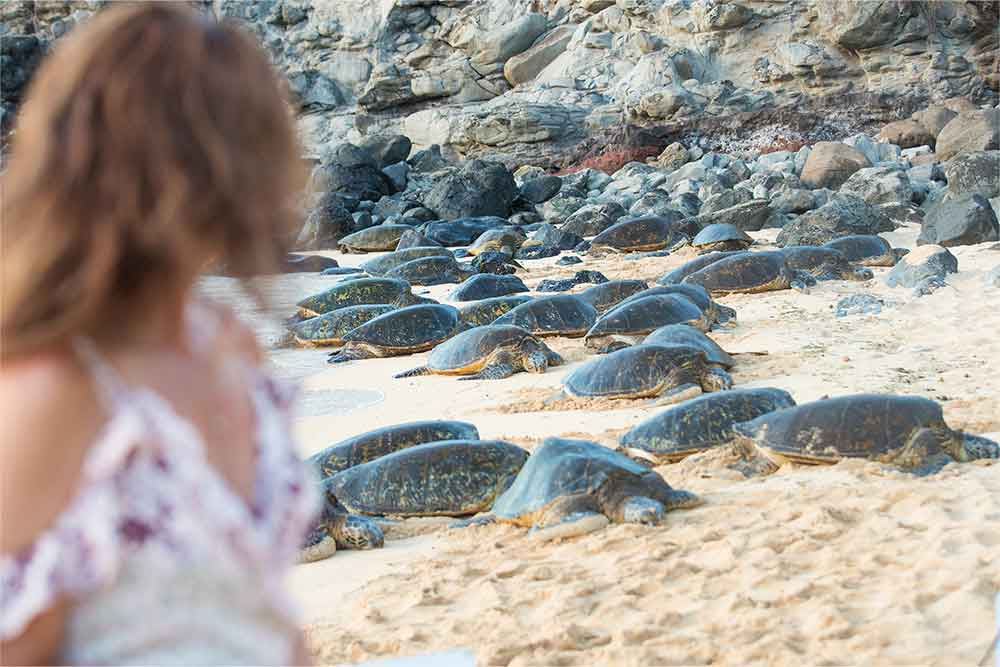 Fuwairit Beach: Location, Activities & More