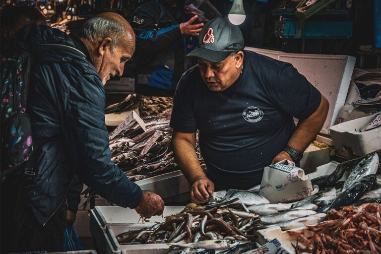 Best Fish Market Options in Qatar - Property Finder Qatar Blog