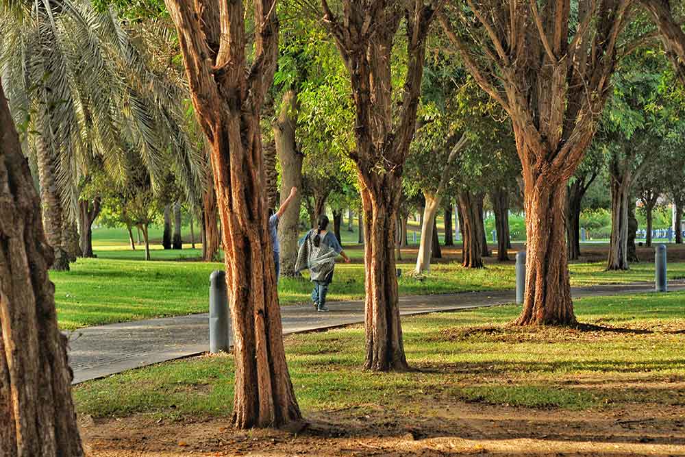 Aspire Park: Your Destination for Fitness and Fun