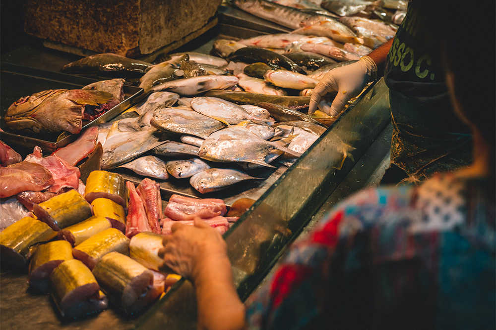 Best Fish Market Options in Qatar - Property Finder Qatar Blog