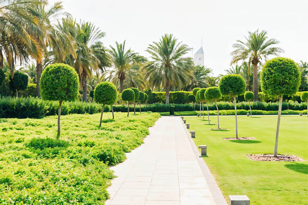 All About Best Parks in Doha: Location, Things to Do and More