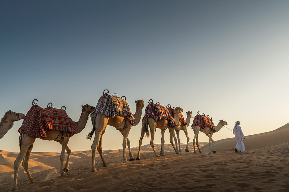 Outdoor Activities to Enjoy in Qatar: Your Go-To Bucket List